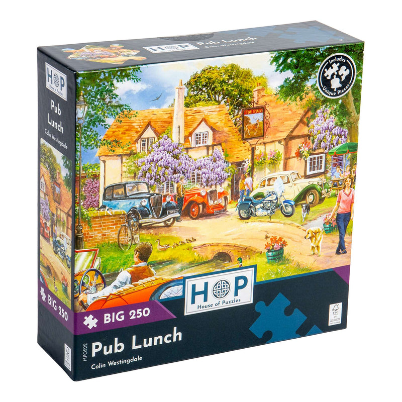 Big 250 Piece Jigsaw Puzzles | House of Puzzles – The House of Puzzles