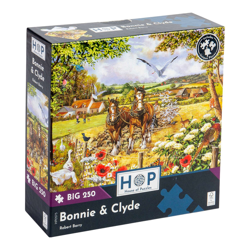 Big 250 Piece Jigsaw Puzzles | House of Puzzles – The House of Puzzles
